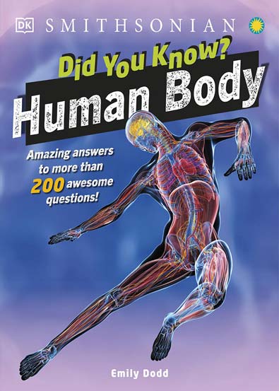 Dk Books Did You Know Human Body Morning Store