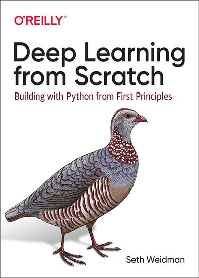 Deep Learning from Scratch Building with Python from First Principles ...