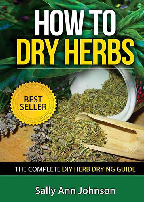 How to Dry Herbs The Complete DIY Herb Drying Guide – Morning Store