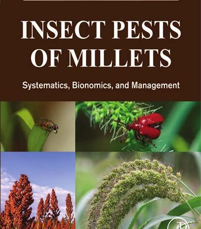 Insect Pests of Millets Systematics Bionomics and Management – Morning ...
