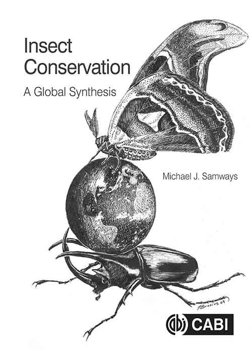 Insect conservation a global synthesis – Morning Store