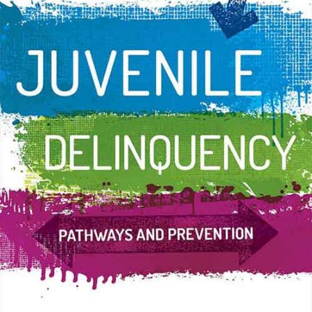 Juvenile Delinquency Pathways and Prevention – Morning Store