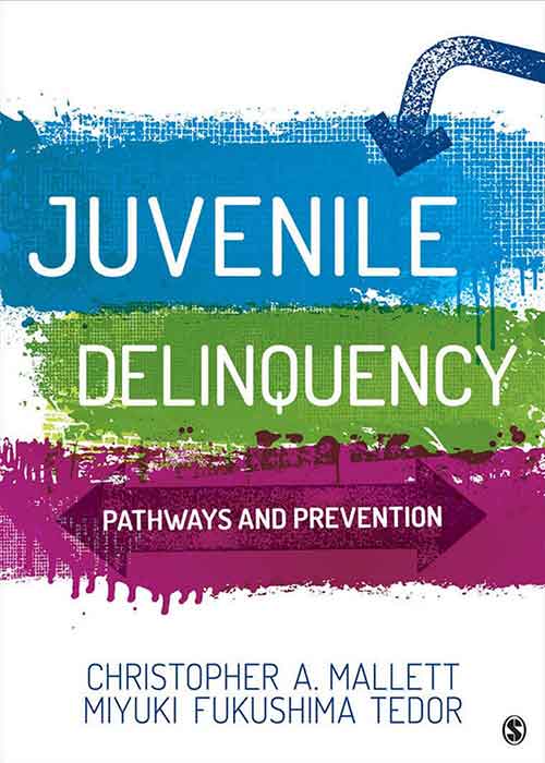 Juvenile Delinquency Pathways and Prevention – Morning Store