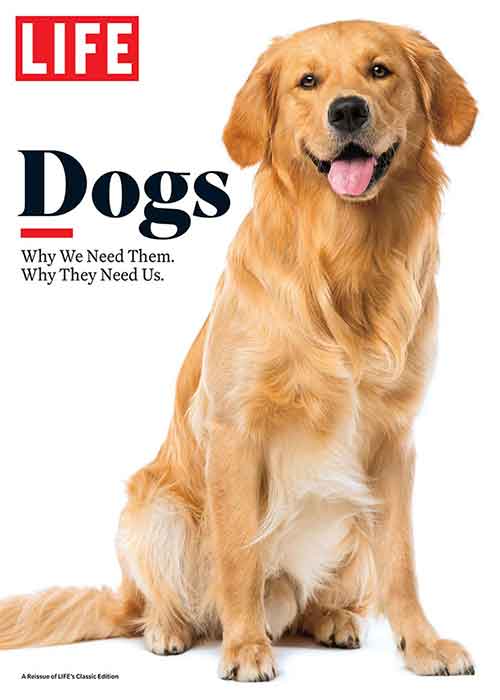 LIFE Dogs Why We Need Them Why They Need Us – Morning Store