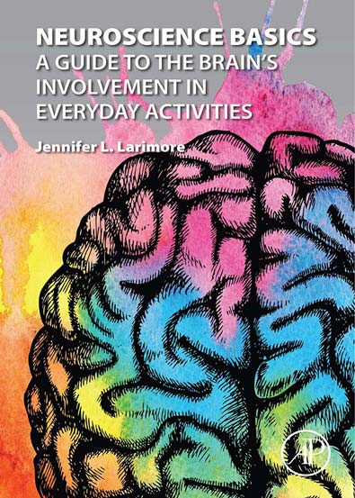 Neuroscience Basics A Guide to the Brains Involvement in Everyday ...