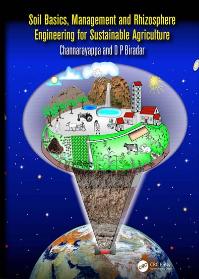 Soil Basics Management and Rhizosphere Engineering for Sustainable – Morning Store