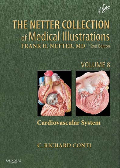 The Netter Collection of Medical Illustrations Cardiovascular System ...